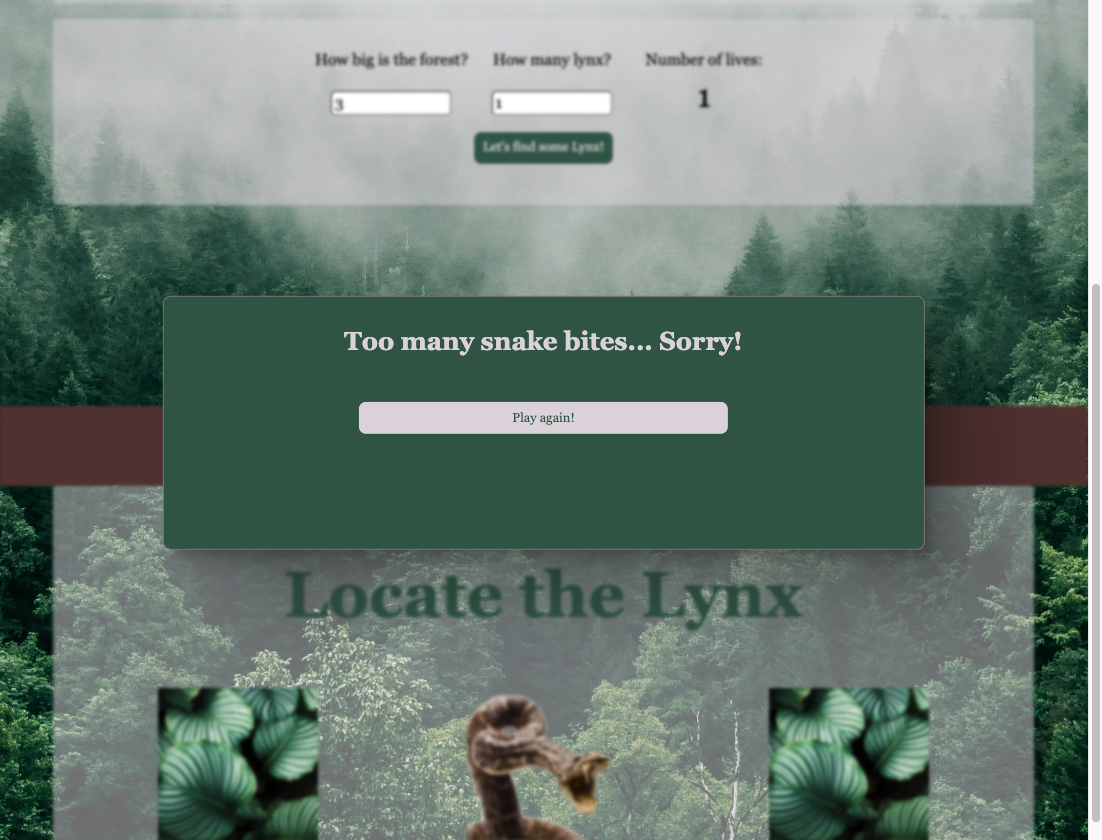 Kimberley Dobney Portfolio